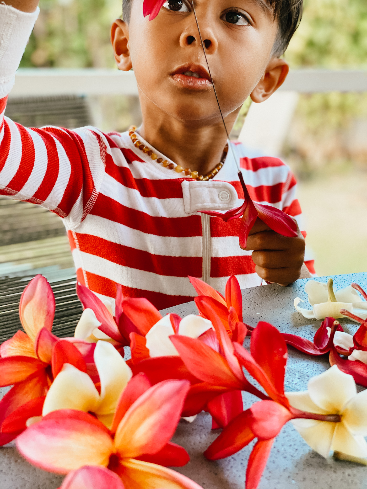 Where to stay on Kauai: The Nene Nest – These Wild Days