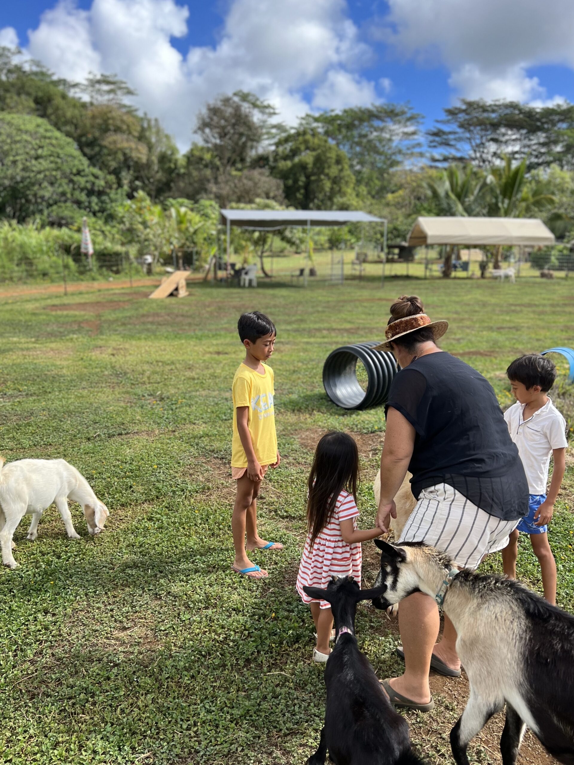 Off The Beaten Path: Kauai Animal Education Farm – These Wild Days